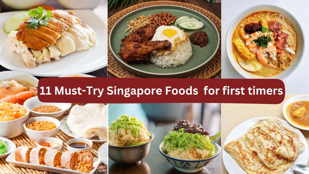 11 Must-Try Singapore Food for First-Time Travelers: Top Culinary ...